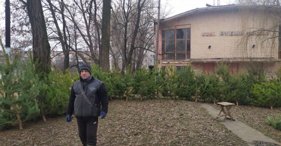 По чём новогодние красавицы в Авдеевке (ФОТО. Новини Авдіївки ...